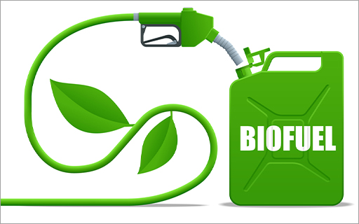 Indian Biofuel Companies | Equitymaster